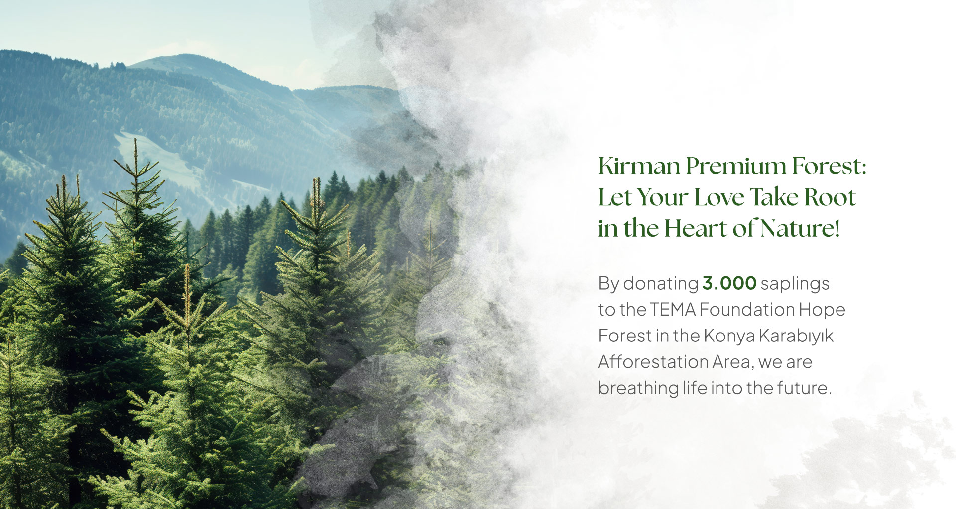 Sidera Kirman Premium | Completes You